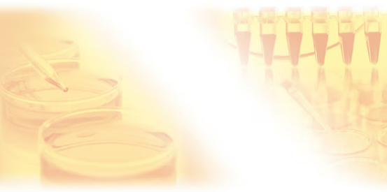 Shim-pack Mix-HILIC : Shimadzu (България)